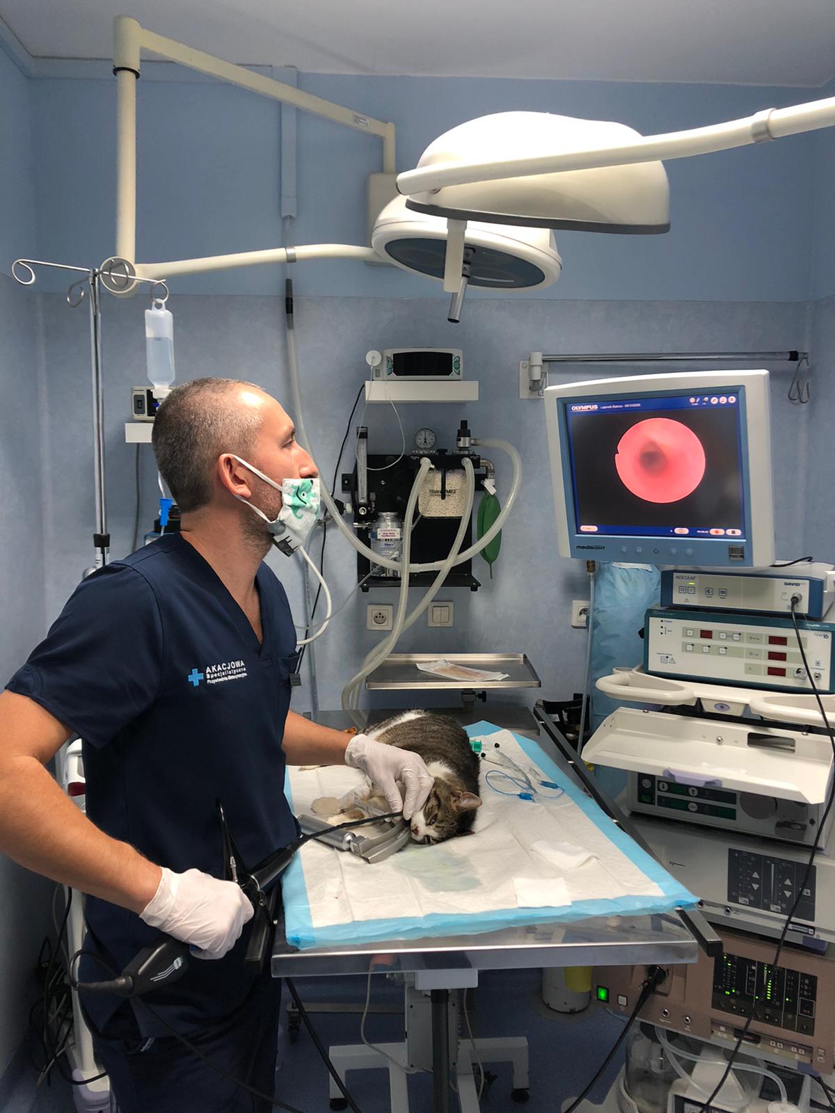 Endoskopia i Laparoskopia