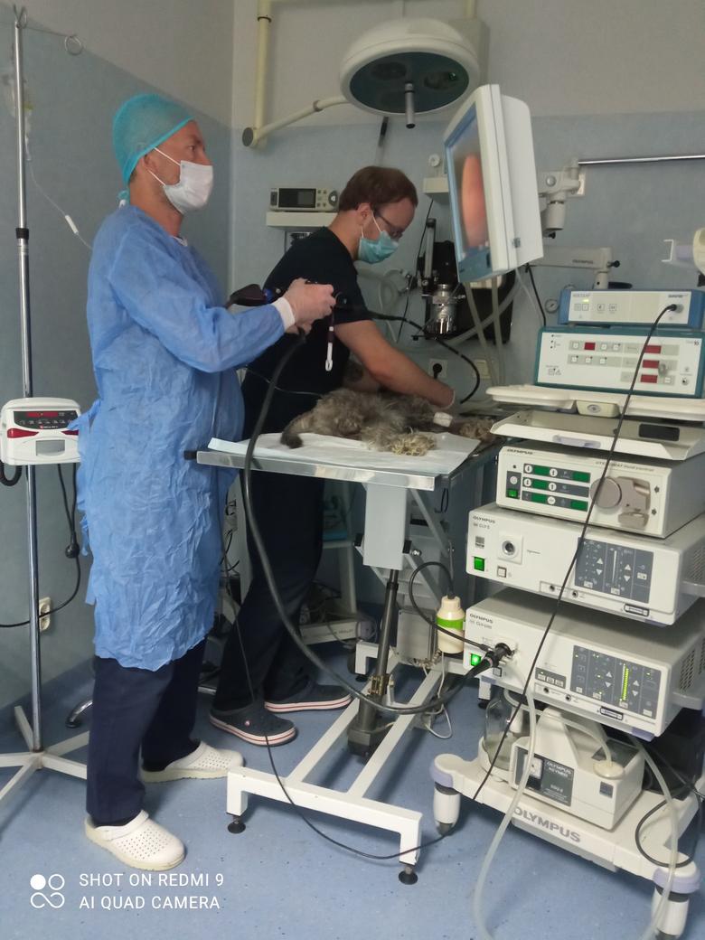 Endoskopia i Laparoskopia