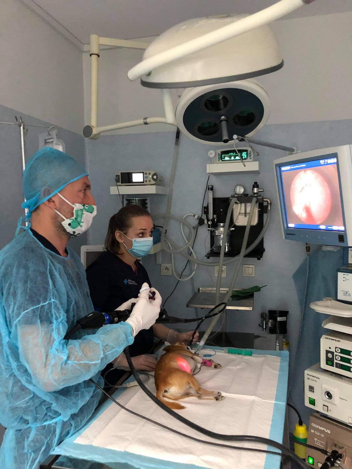 Endoskopia i Laparoskopia