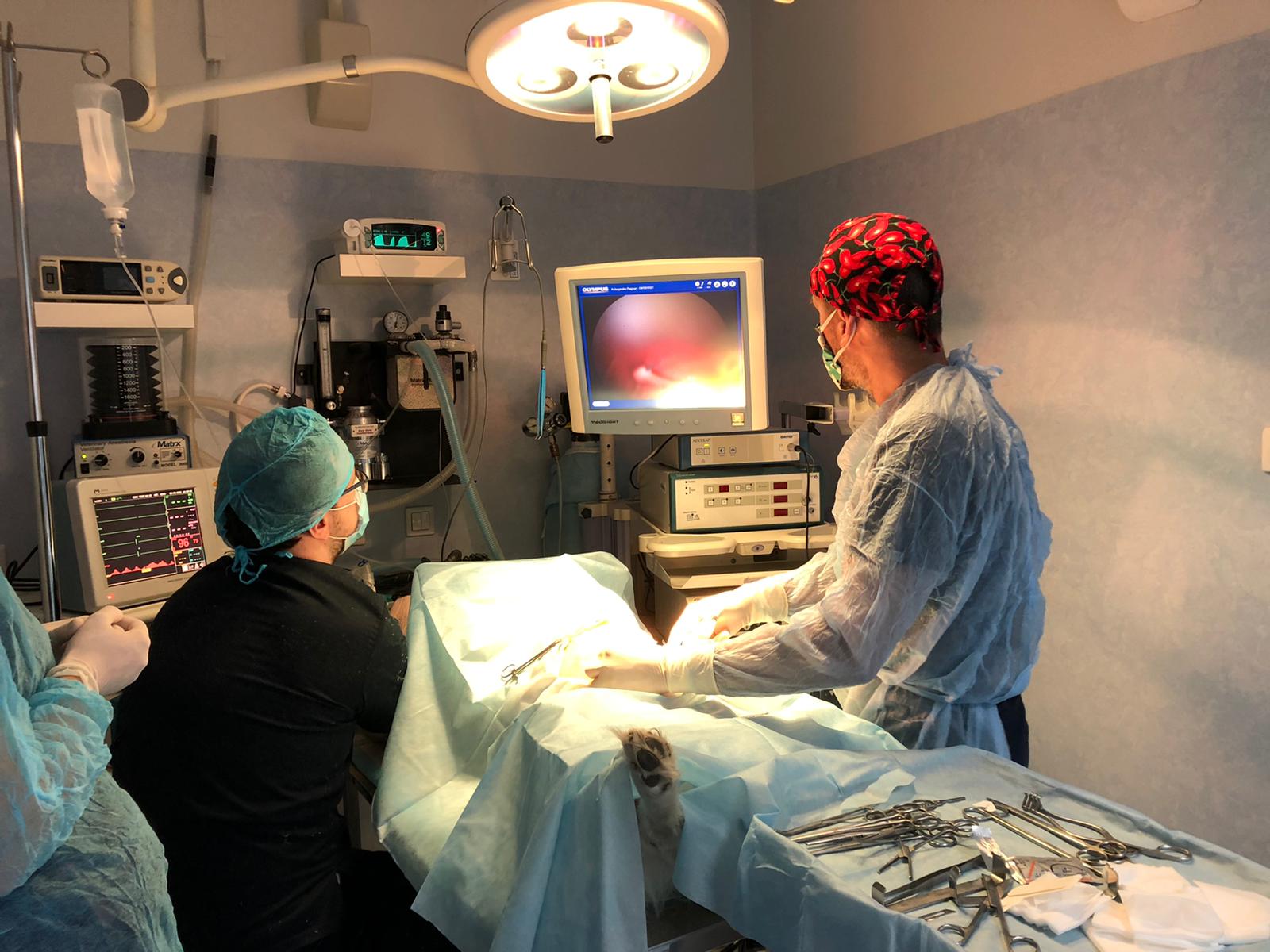 Endoskopia i Laparoskopia