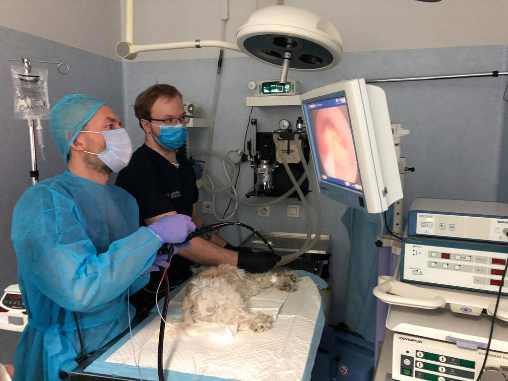 Endoskopia i Laparoskopia